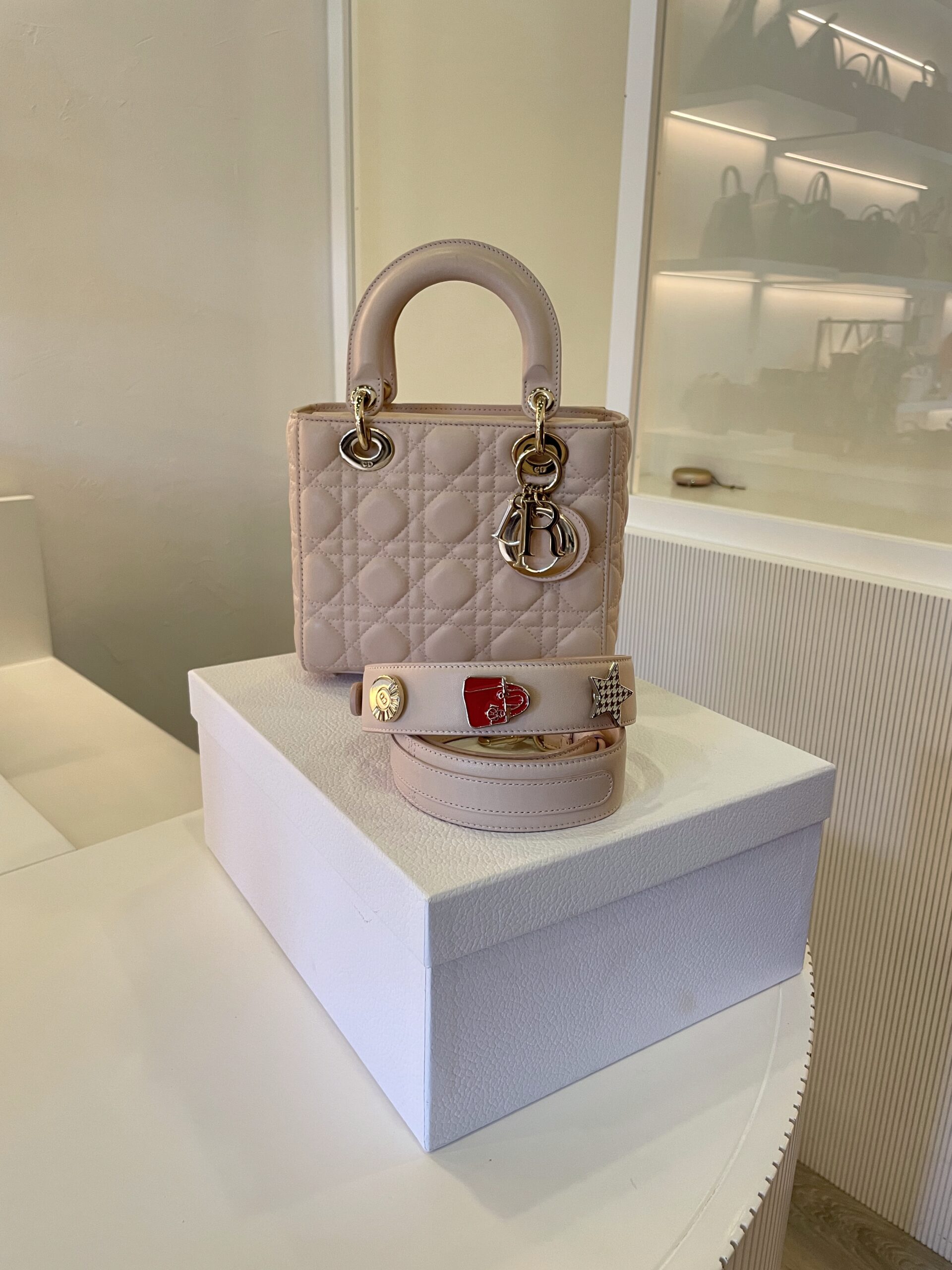 Sac Lady Dior Small | La SAGA Montreux
